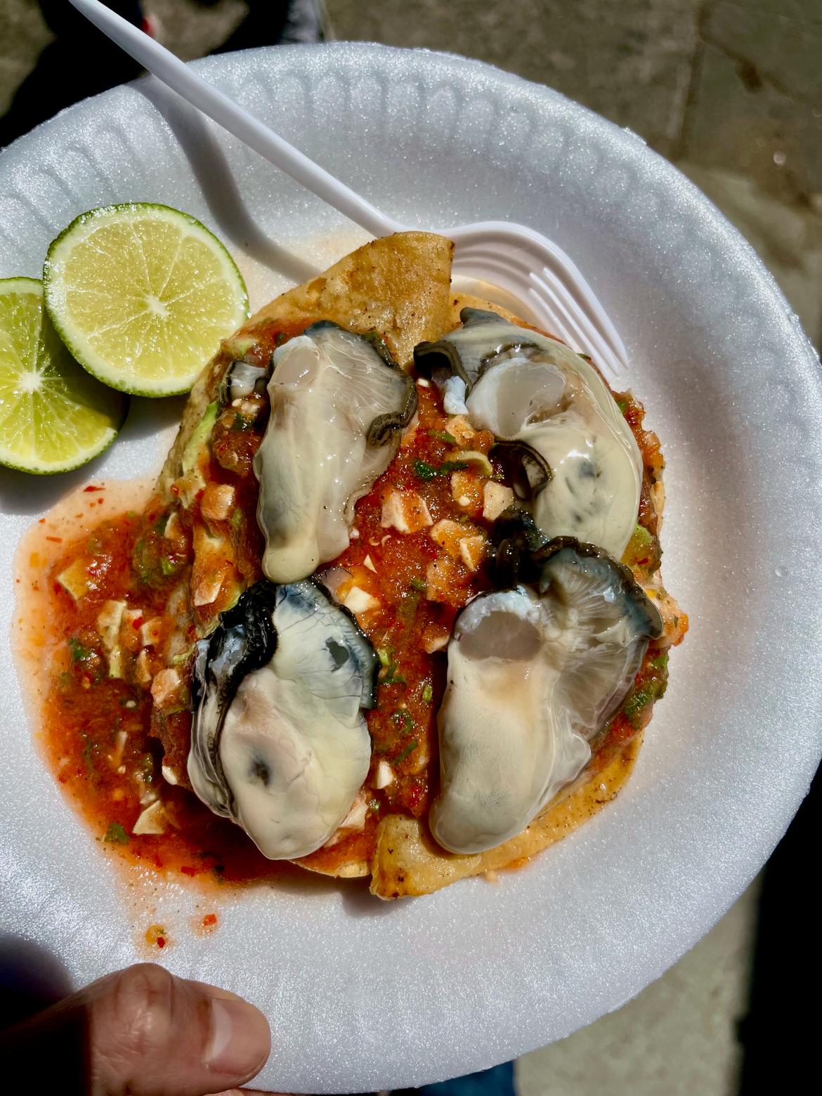 The 12 Best Places In Los Angeles to Eat Oysters ~ L.A. TACO
