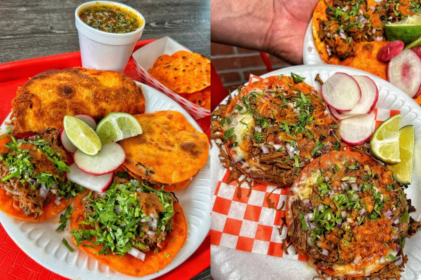 The 11 Best Birria Tacos in Los Angeles ~ L.A. TACO