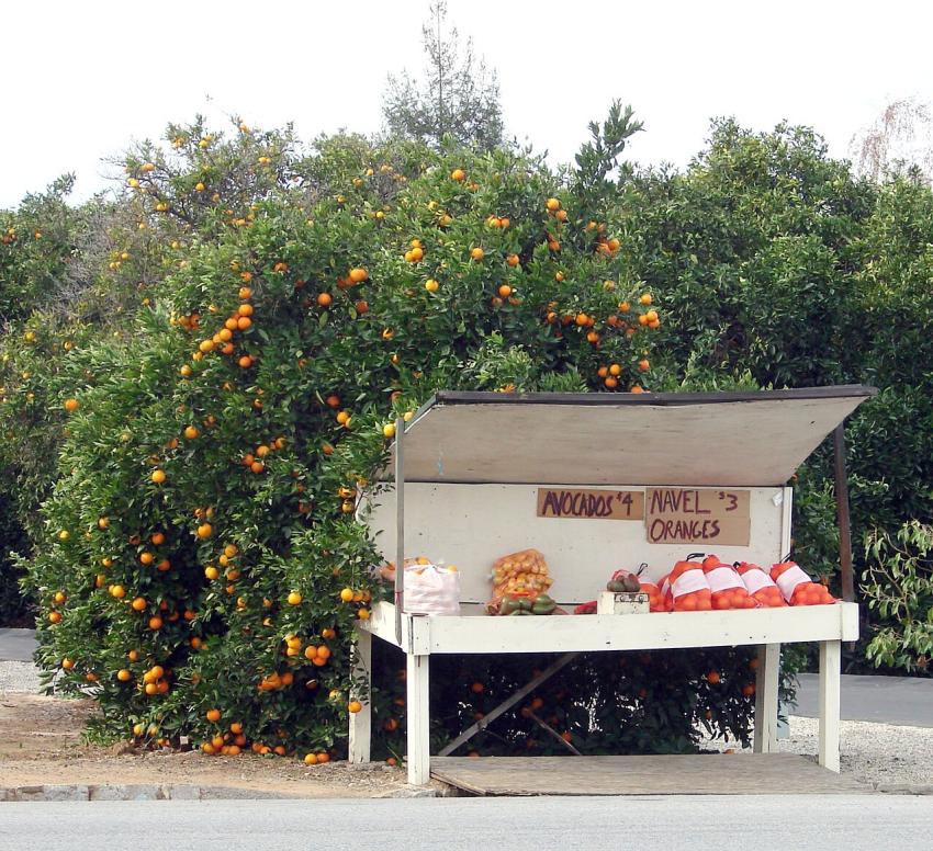 The Ultimate Guide to the IE: Inner Inland Empire ~ L.A. TACO