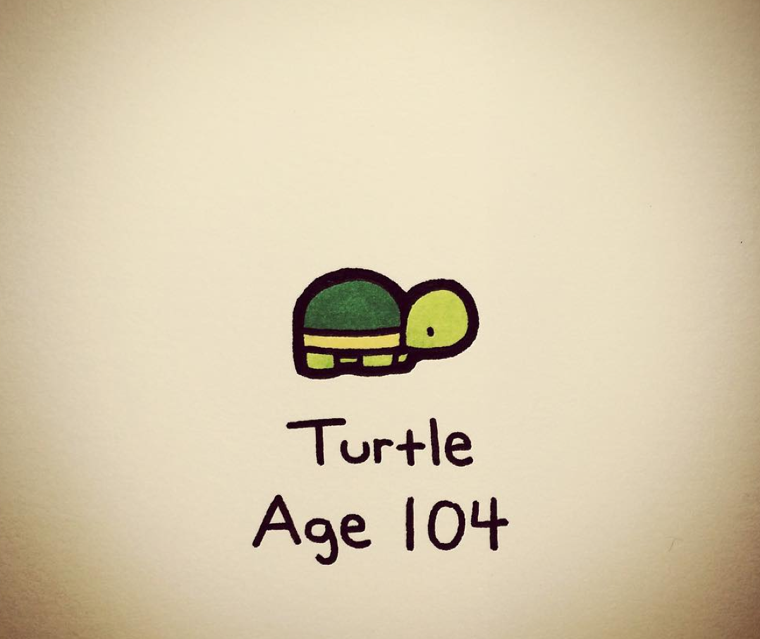 Interview With Turtle Wayne ~ L.A. TACO