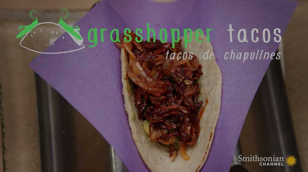 Tacos De Chapulines